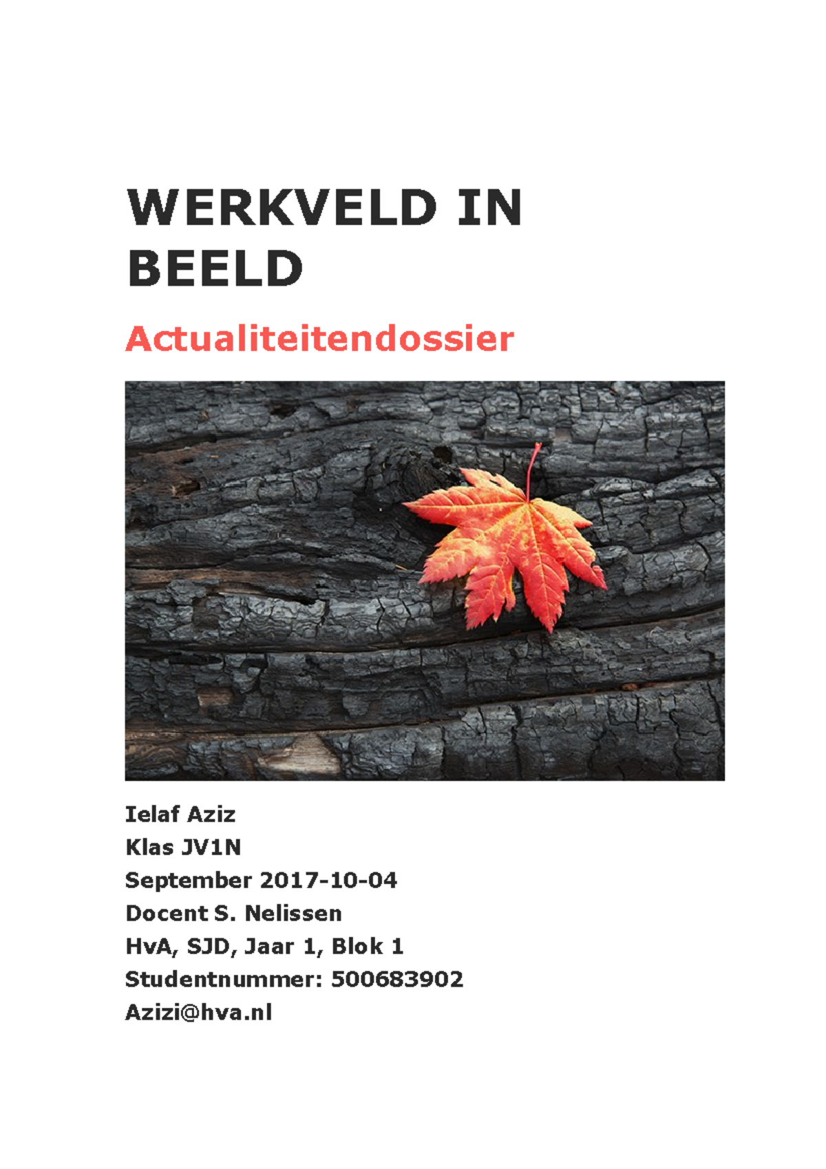 Werkveld in beeld - Cijfer: 8 - WERKVELD IN BEELD Actualiteitendossier ...