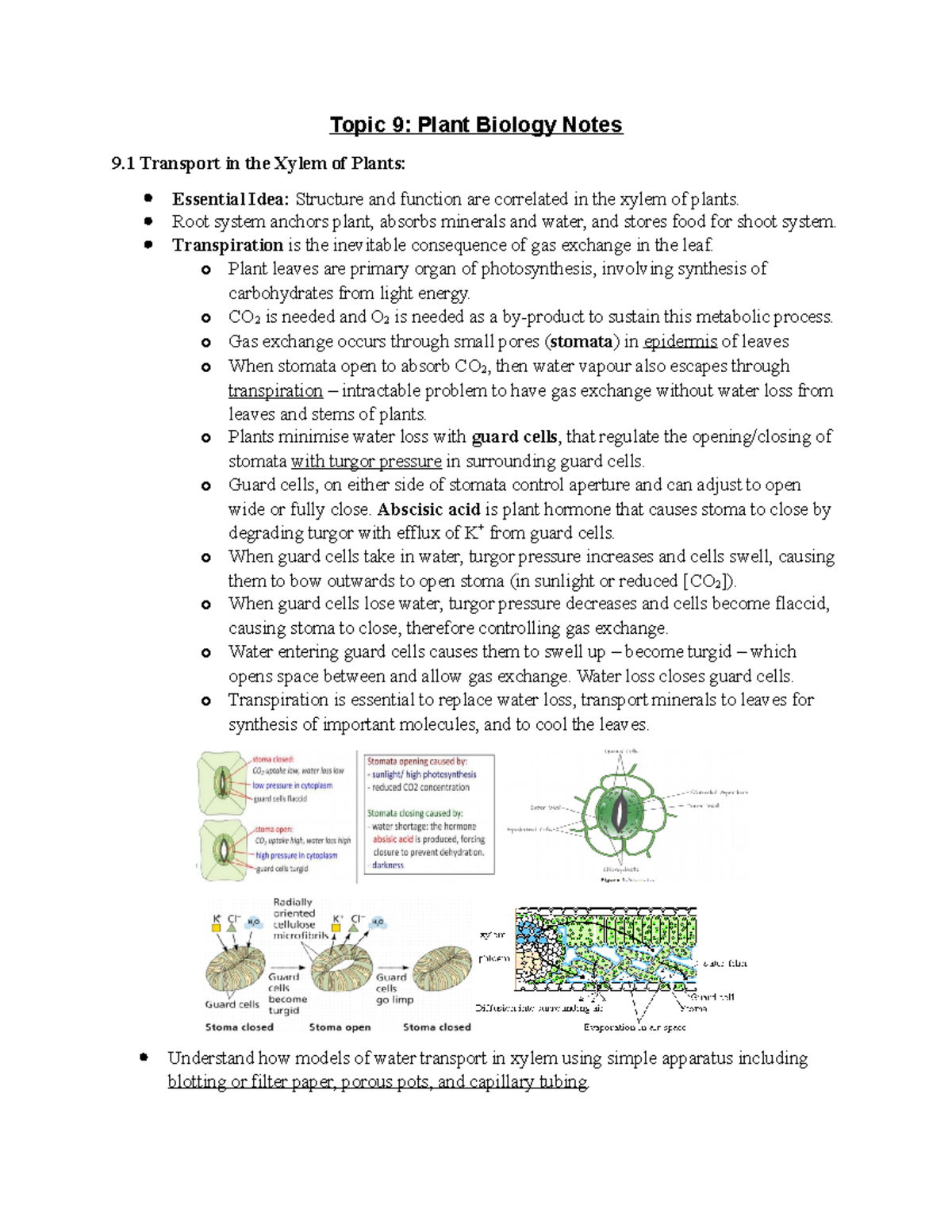 Topic 9 Plant Biology Notes - Topic 9: Plant Biology Notes 9 Transport ...