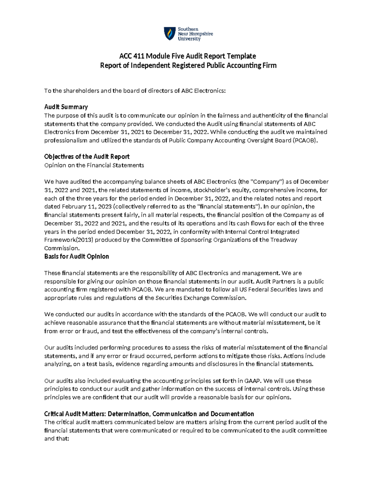 ACC 411 Module Five Audit Report Template - ACC 411 Module Five Audit ...