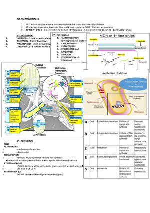 Sample lesson plan Obesity, metabolic syndrome - LESSON PLAN Year: 4 ...
