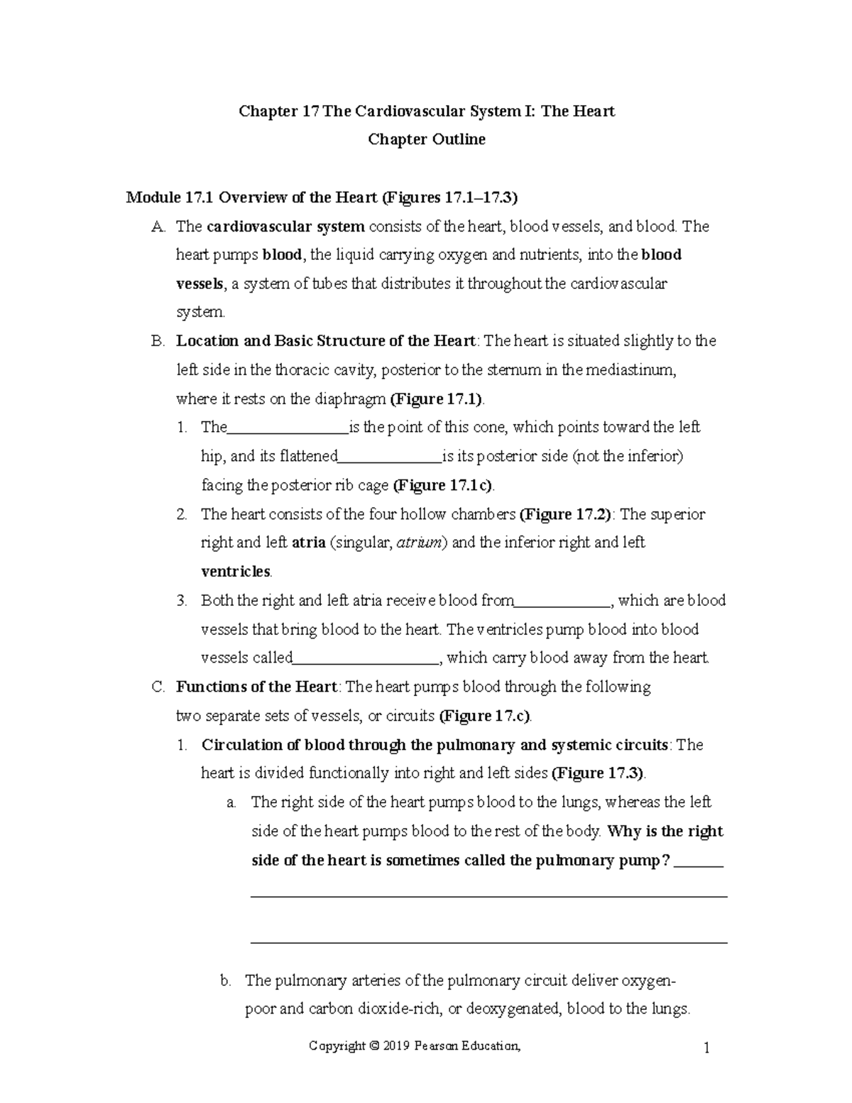 Chapter 17 Heart - study guide needs to be filled in - Copyright © 2019 ...