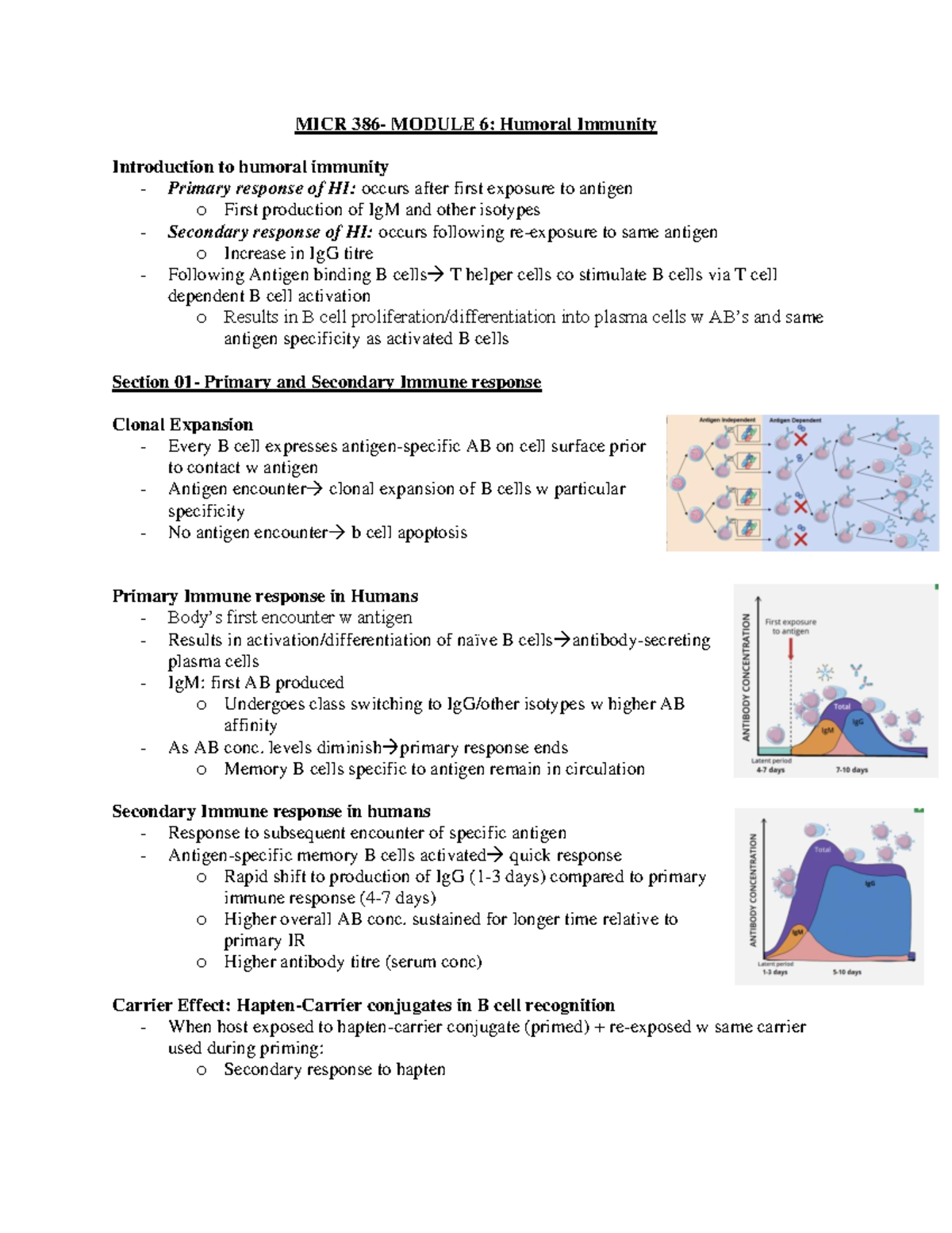 MICR 386 module 6 - MICR 386- MODULE 6: Humoral Immunity Introduction ...