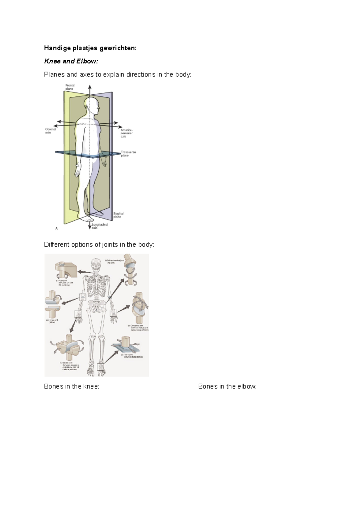 Handige plaatjes gewrichten - Handige plaatjes gewrichten: Knee and ...