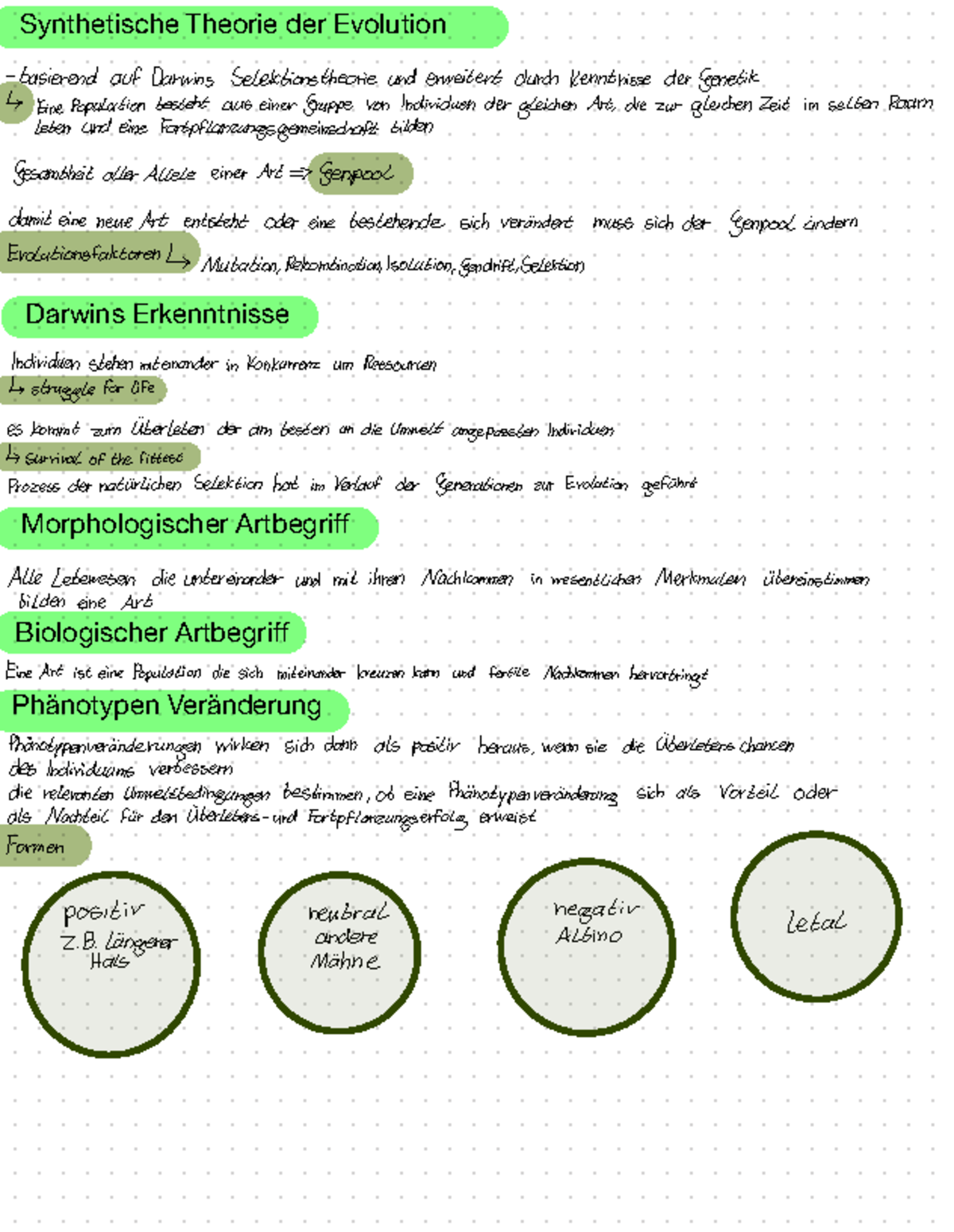 Biologie Karten - Synthetische Theorie der Evolution Darwins ...