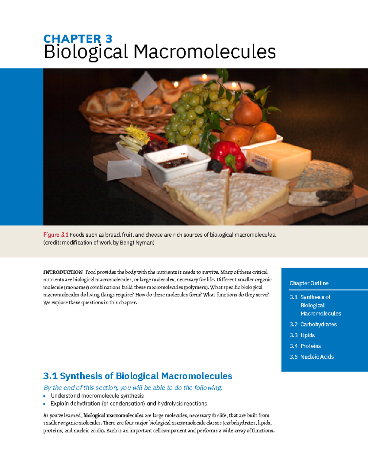 Chapter 3 Biological Macromolecules Part 1 - CHAPTER 3 Biological ...