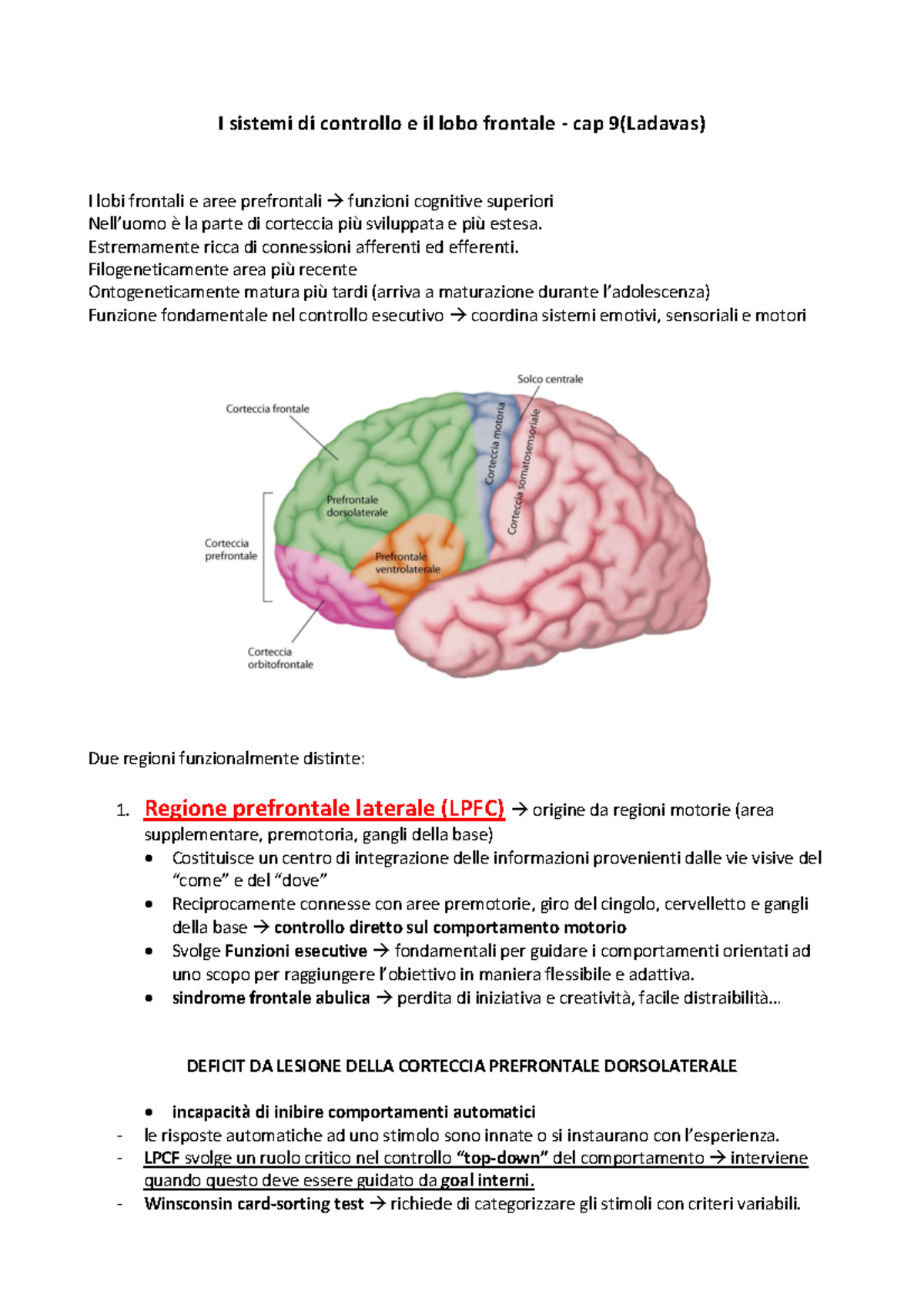 Il lobo frontale - Riassunto Neuropsicologia - I sistemi di controllo e ...