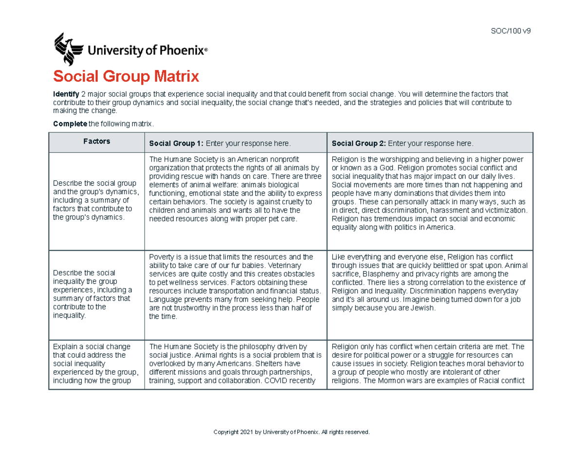 Now - None - SOC/100 v Social Group Matrix Identify 2 major social ...