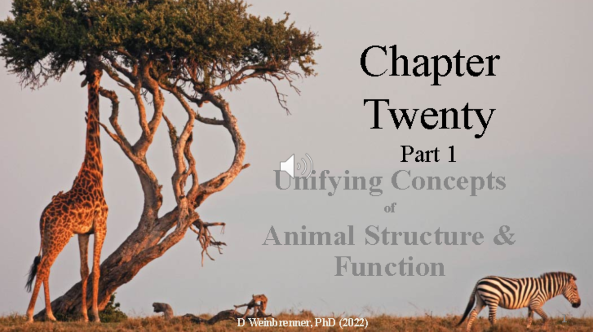Chapter+20 Unifying+Concepts+of+Animal+Structure 2022 VOw N - Chapter Twenty Part 1 Unifying ...