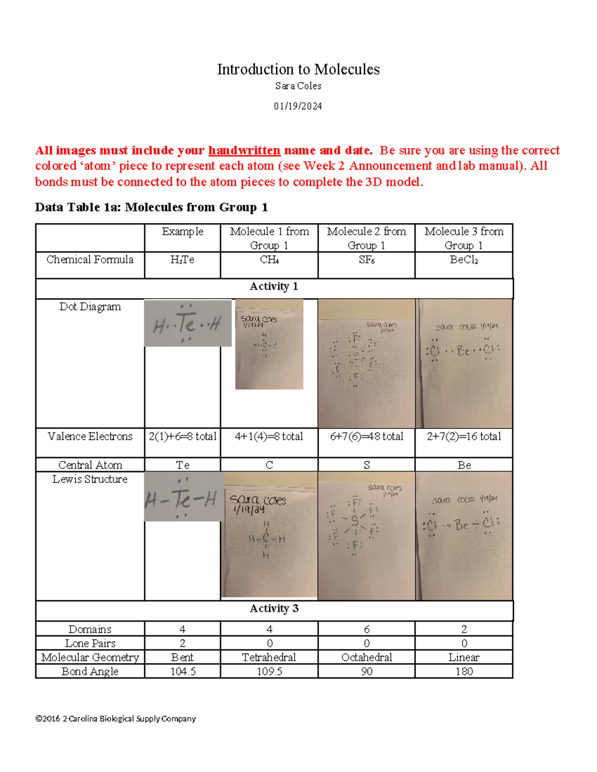 2 1 Intro to Molecules Lab Report Dr Z Edits - Introduction to ...