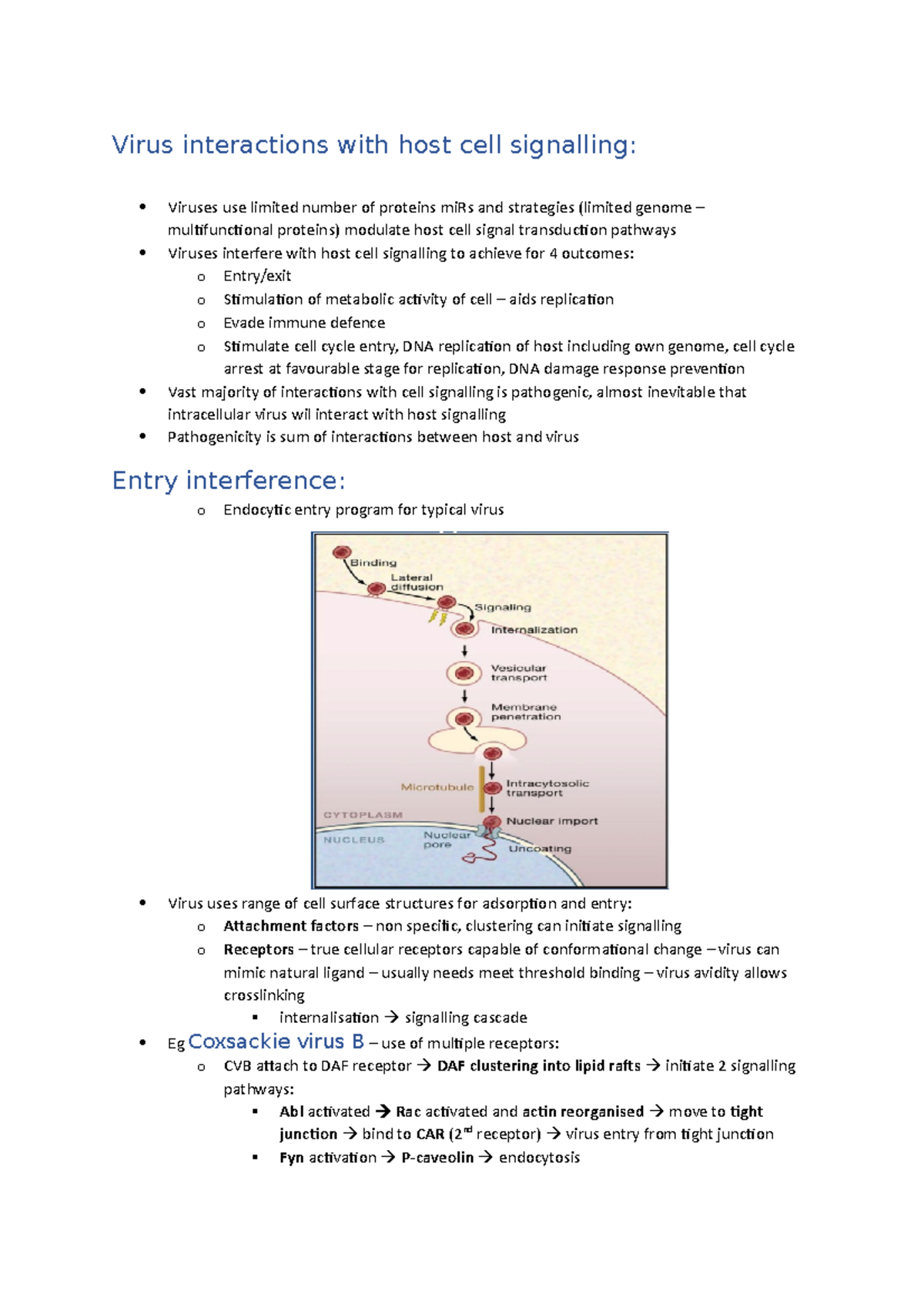Virus interactions with the cell cycle - Virus interactions with host ...