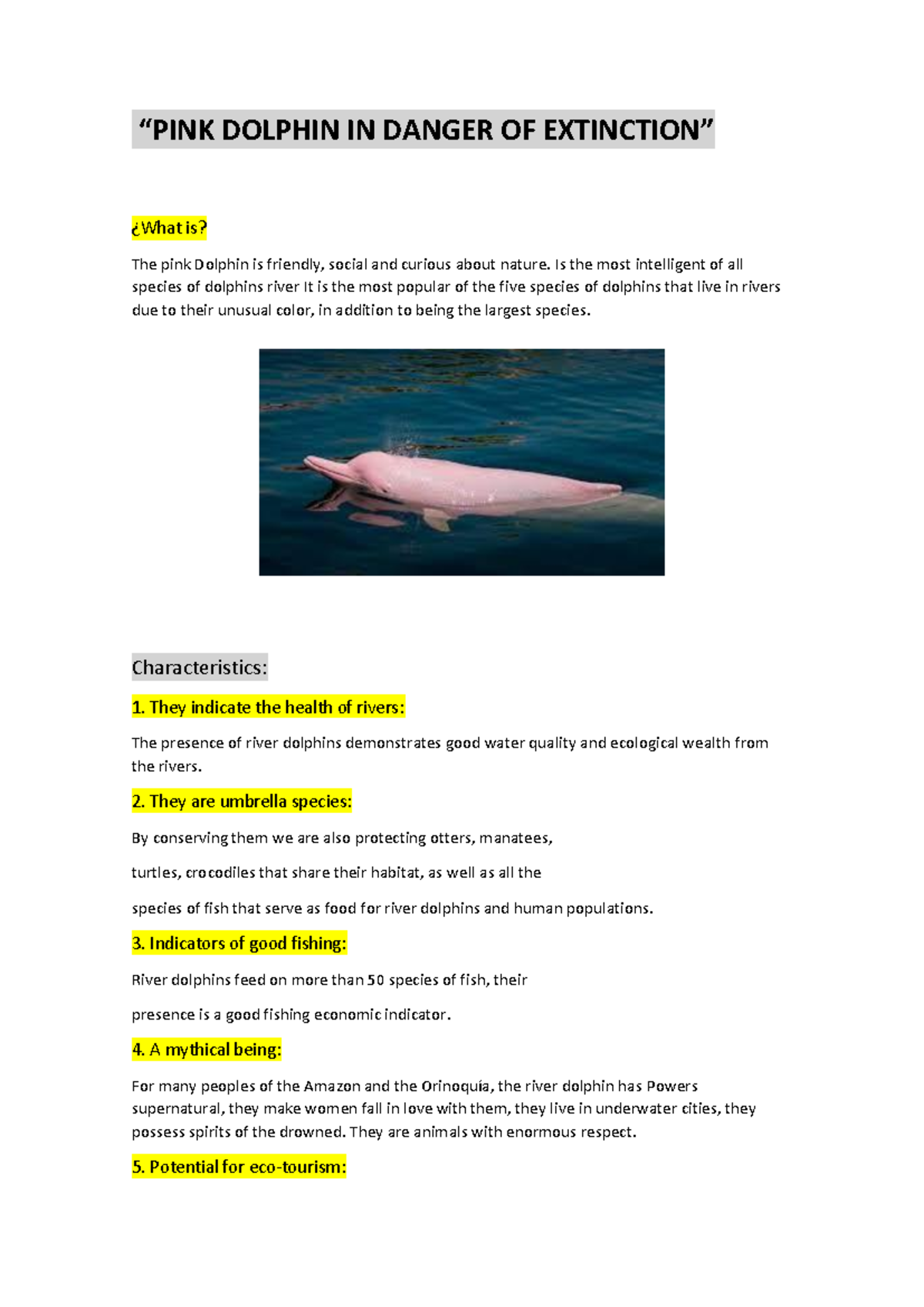 PINK Dolphin IN Danger OF Extinction - “PINK DOLPHIN IN DANGER OF ...