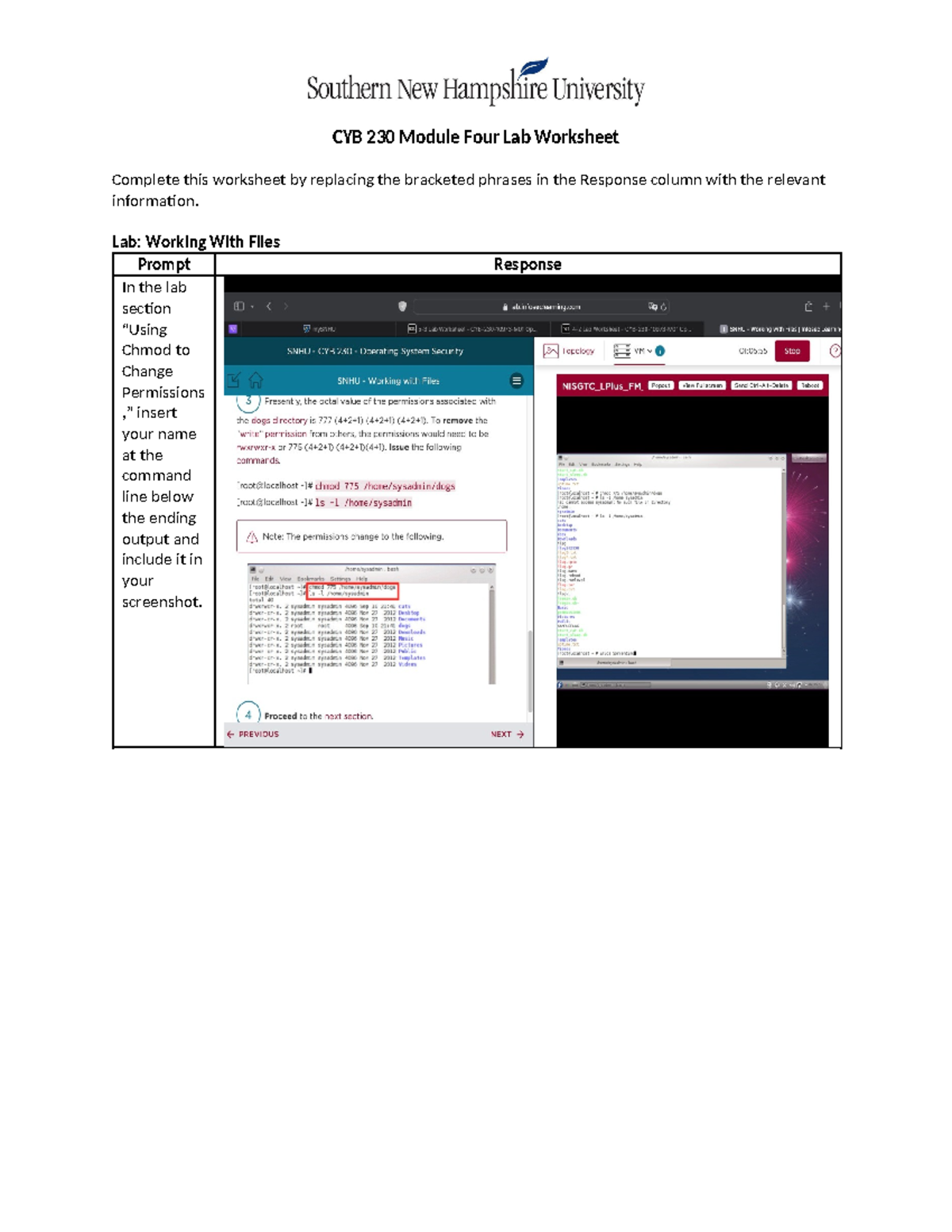 CYB 230 Module Four Lab Worksheet n;kn;kn - CYB 230 Module Four Lab ...