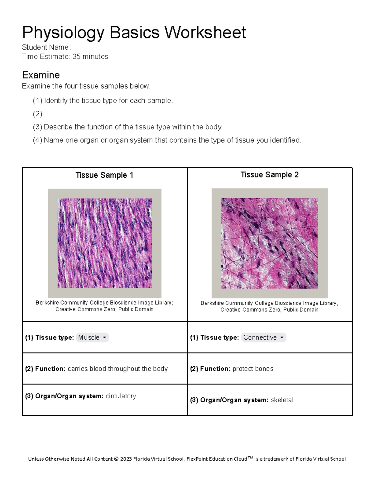 Copy of 103 Physiology Basics Worksheet - Physiology Basics Worksheet ...