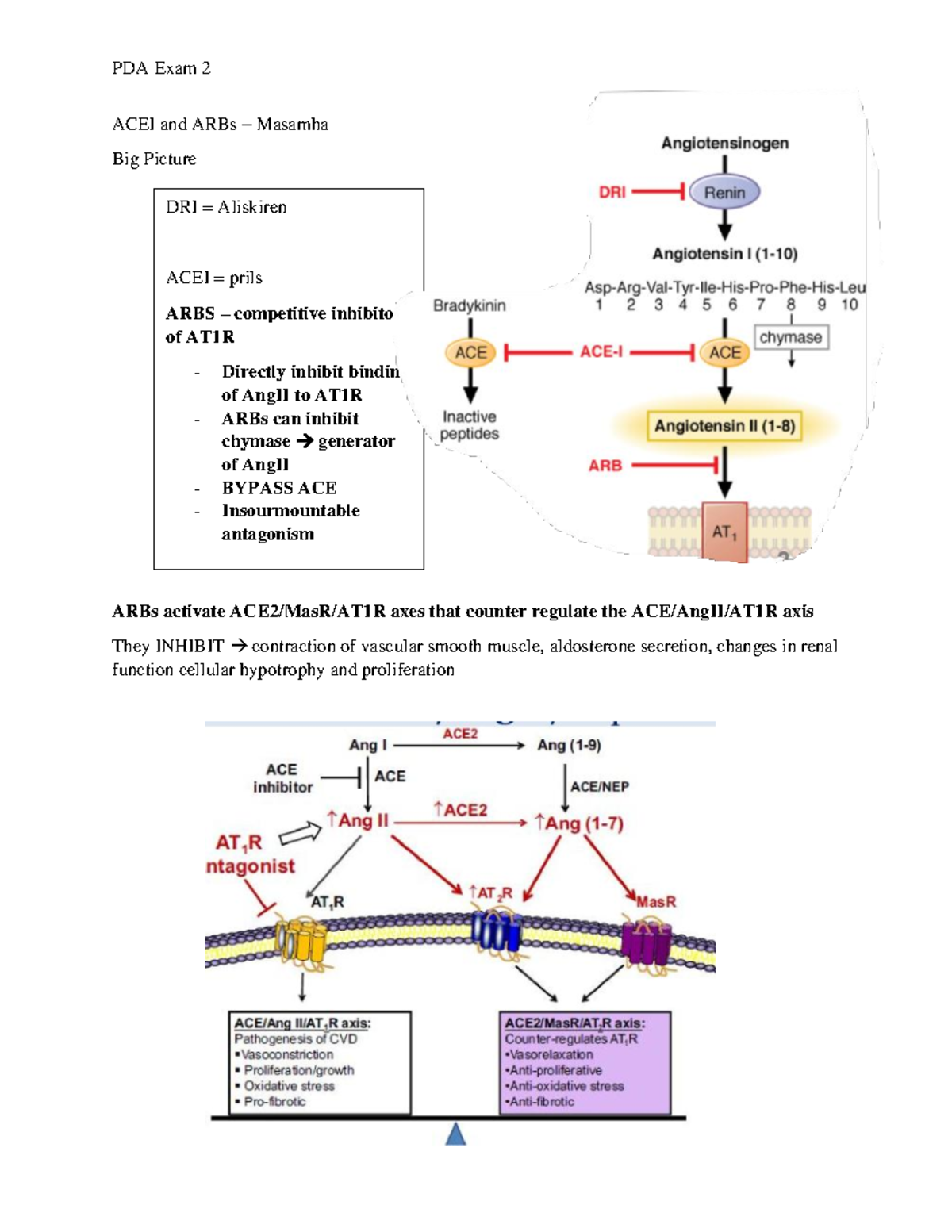 ARBS Masamha - Study notes and practice - ACEI and ARBs – Masamha Big ...