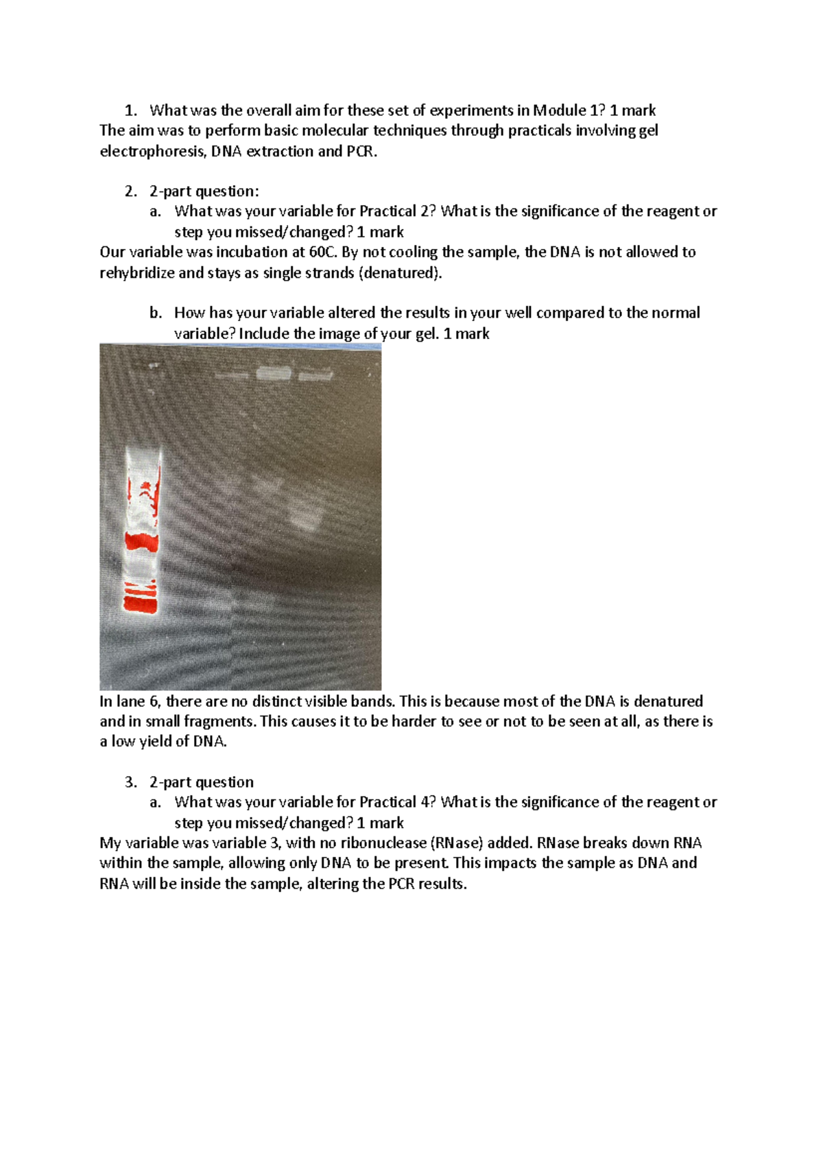 Assignment Module 1- Analysis of Results (Practical 1 - 4) - What was ...
