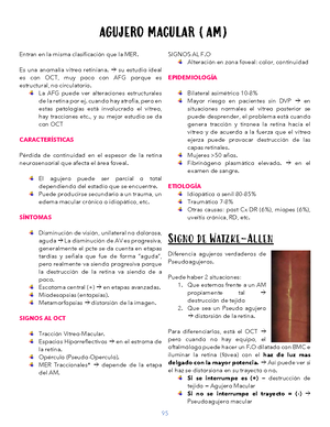 1. Histología y fisiología de la retina - El globo ocular se divide en ...
