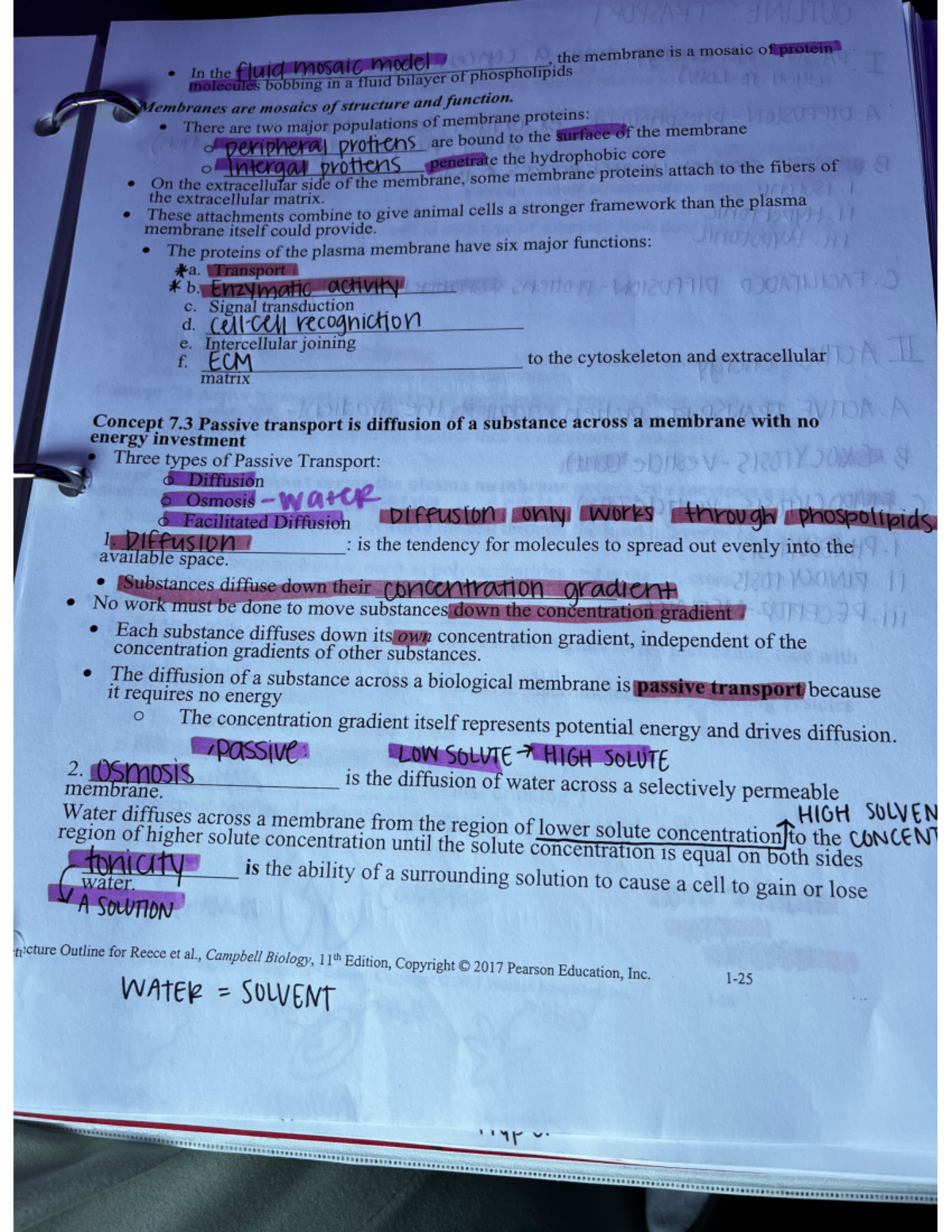 22 - biology lecture notes - BIO1134 - Studocu