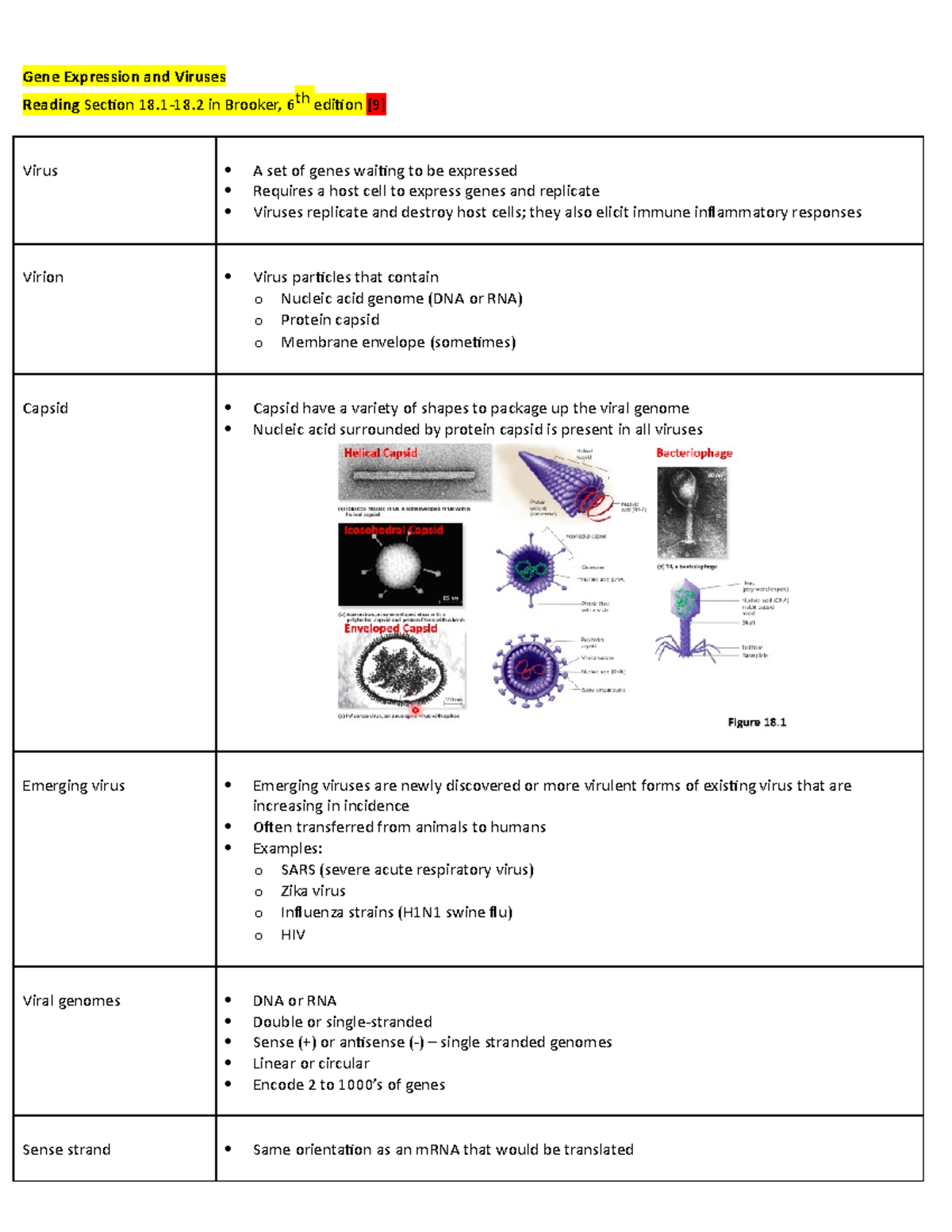CHE202L Exam 3 Study Guide - Gene Expression and Viruses Reading Section 18.1-18 in Brooker, 6th ...
