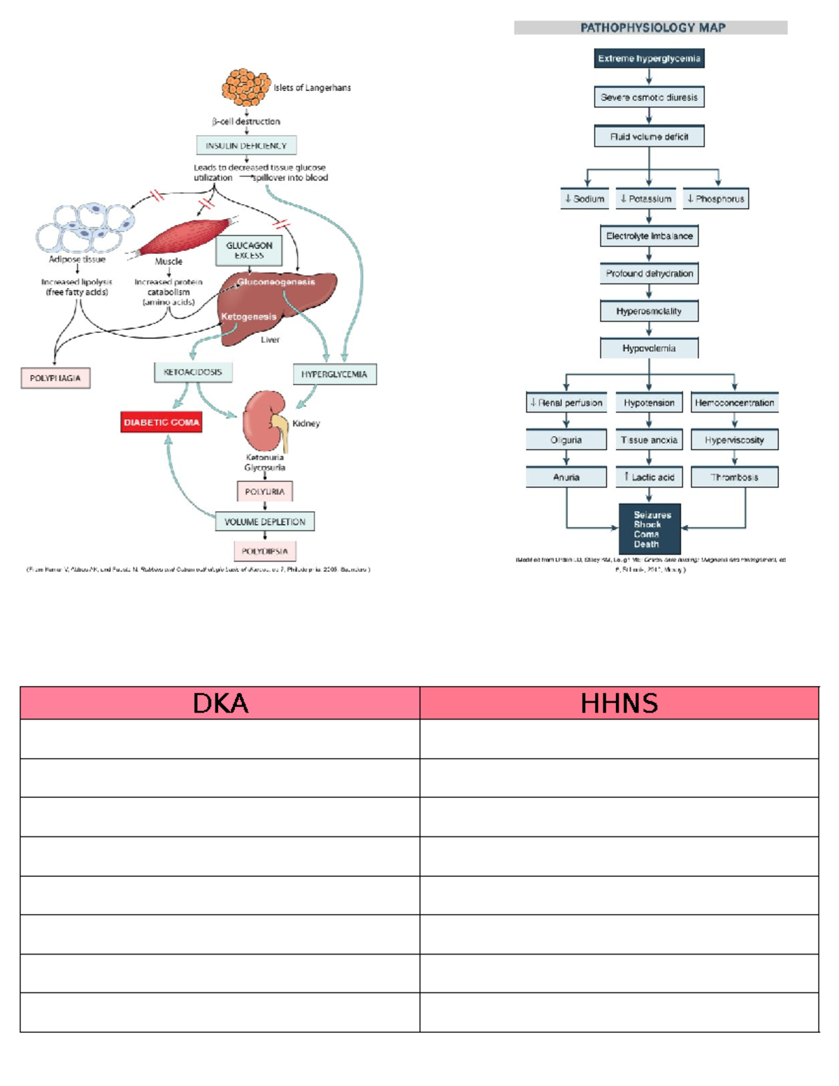 Unit 10 pics - endocrine - NURS 418 - DKA HHNS Lab Value: Normal: DI ...