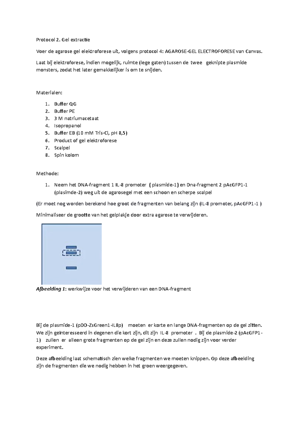 Protocol 3. Gel extractie - Protocol 2. Gel extractie Voer de agarose ...
