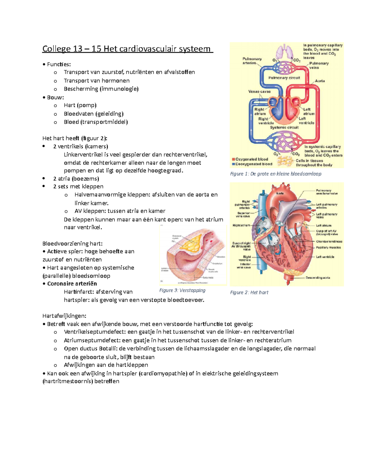 College 13-15 het cardiovascular systeem - Figure 1: De grote en kleine ...
