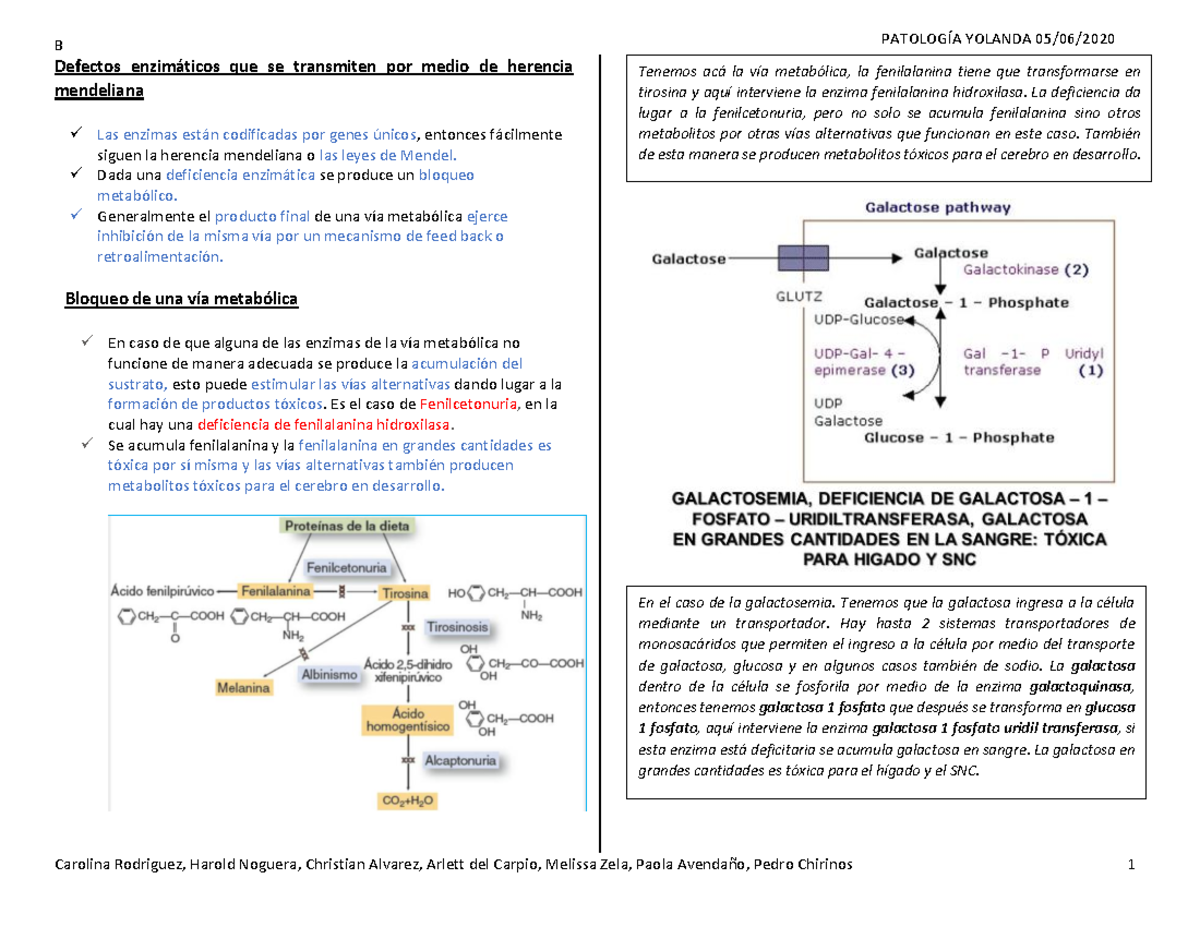 Patologia- Transtornos Geneticos- parte 2 - Warning: TT: undefined function: 32 Warning: TT ...