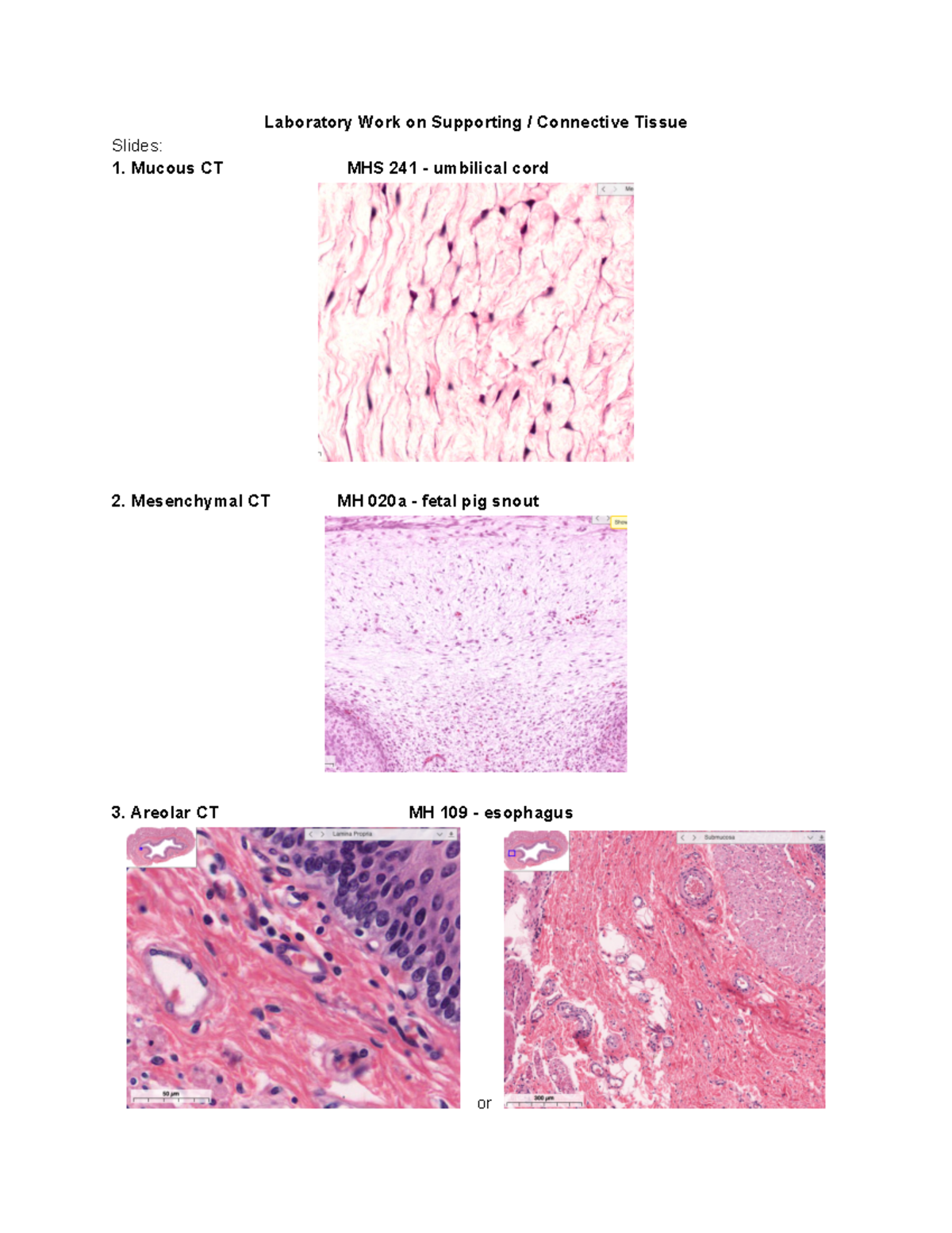 Midterms Science - bs EDUCATION - Laboratory Work on Supporting ...