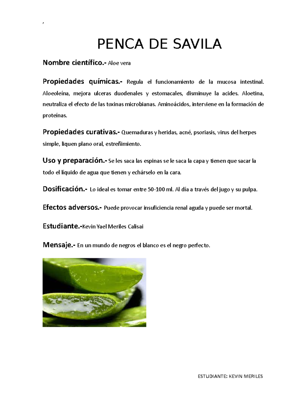 Penca de Savila - , PENCA DE SAVILA Nombre científico.- Aloe vera ...