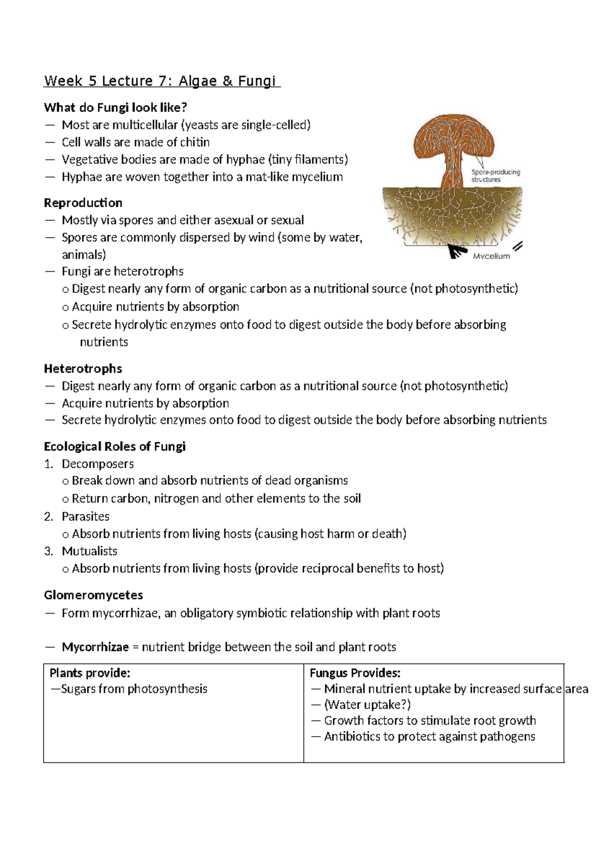 Week 5 Lecture 7 - Week 5 Lecture 7: Algae & Fungi What do Fungi look ...