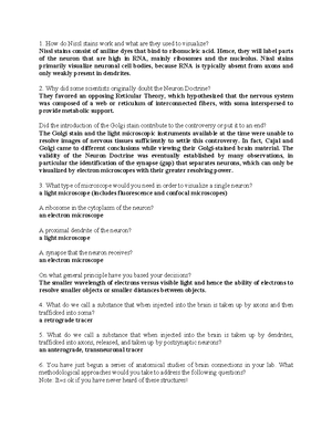 Exam 1 Practice Questions - Warning: Popup annotation has a missing or invalid parent annotation ...