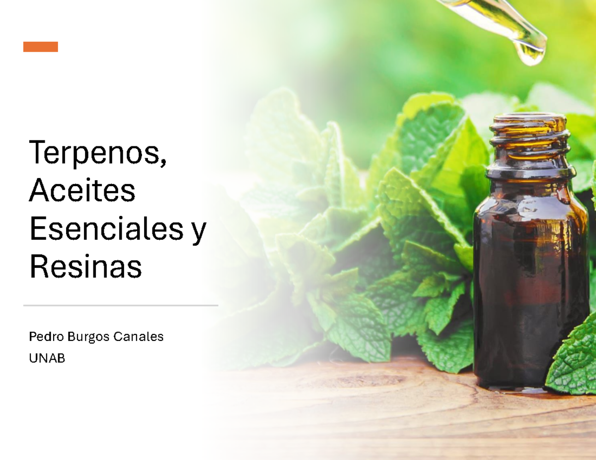 Clase 10 2024 Terpenos, aceites esenciales y resinas-1 - Terpenos ...