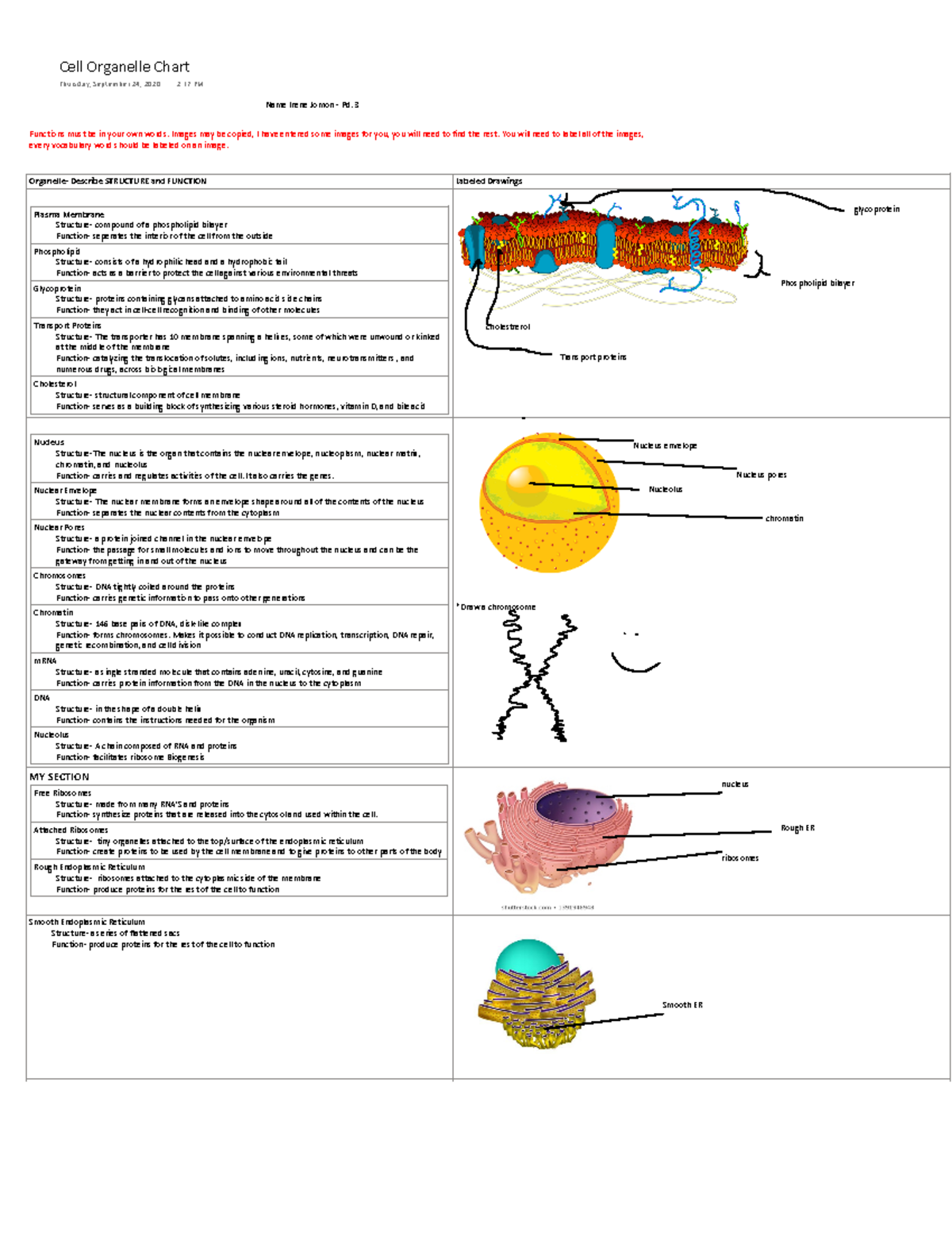 Cell Organelles - Name Irene Jomon - Pd. 3 Organelle- Describe ...