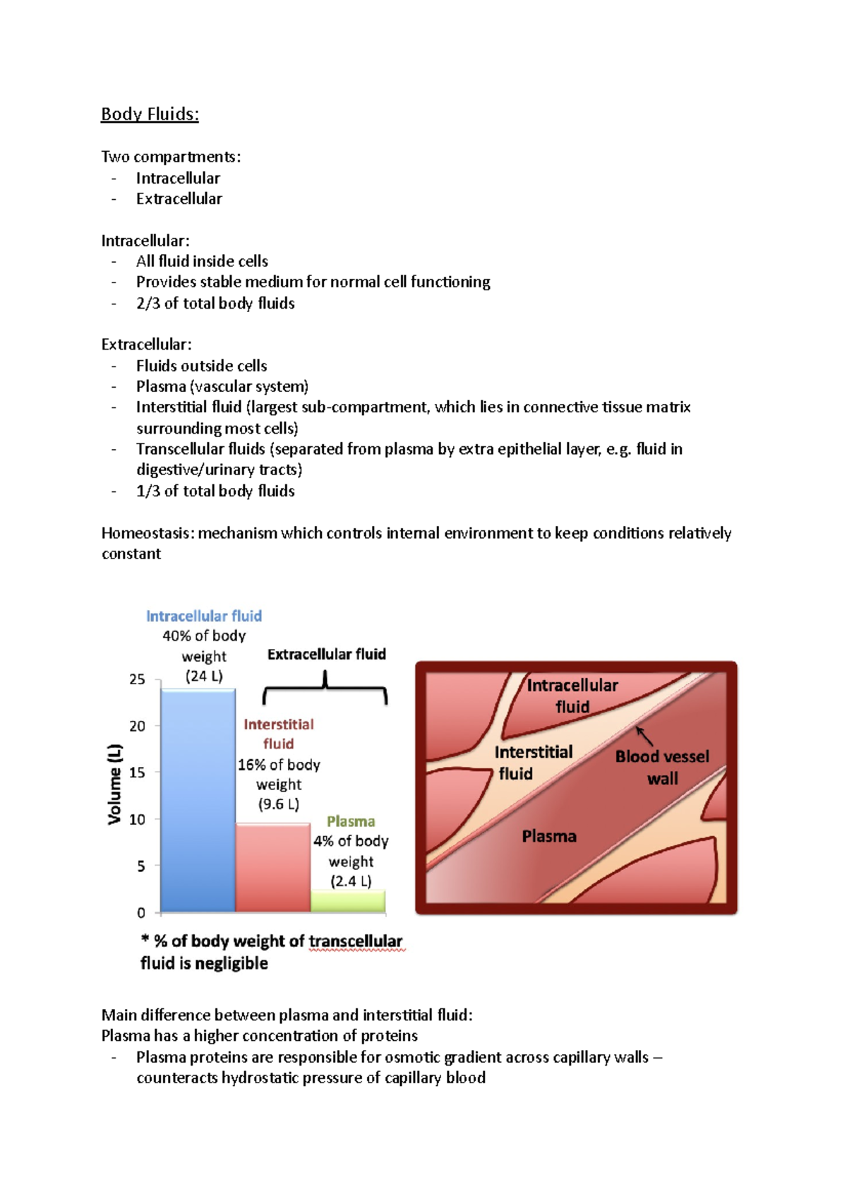 Body Fluids - Body Fluids: Two compartments: - Intracellular ...