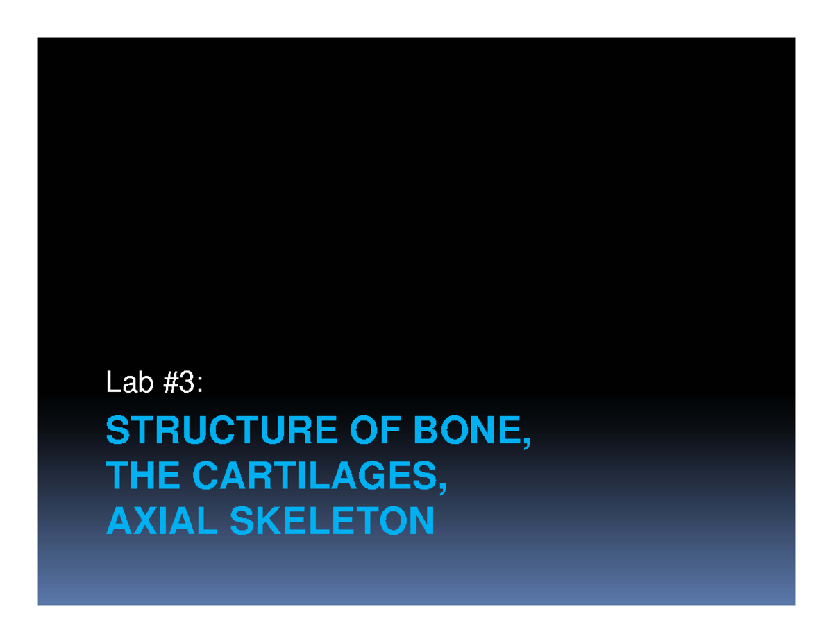 Biol120. Lab 3.frank - Lab Notes - Lab #3:STRUCTURE OF BONE,THE ...