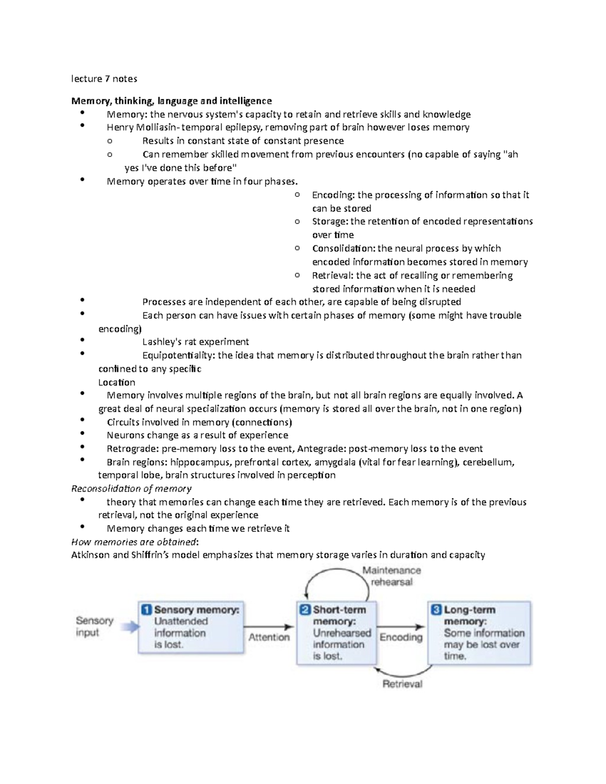 Lecture 7 notes - lecture 7 notes Memory, thinking, language and ...