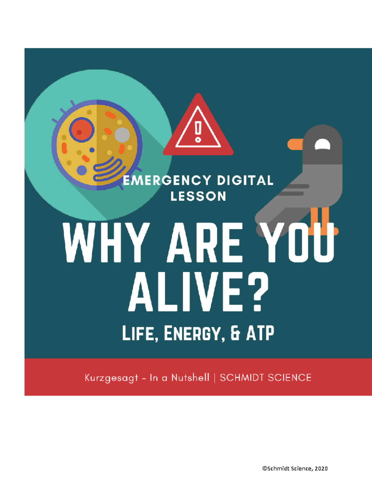 Tyler martin - Why Are You Alive Energy ATPEmergency Lesson Sub ...