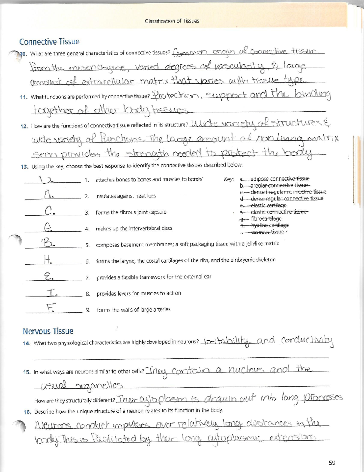 Tissues 3 - BSC 2085C - Studocu