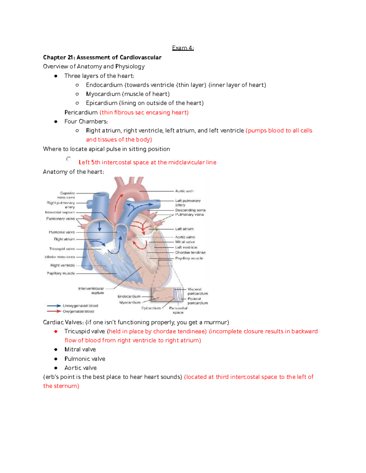 Cardiac Exam Study Guide - NURS 332 - BSU - Studocu