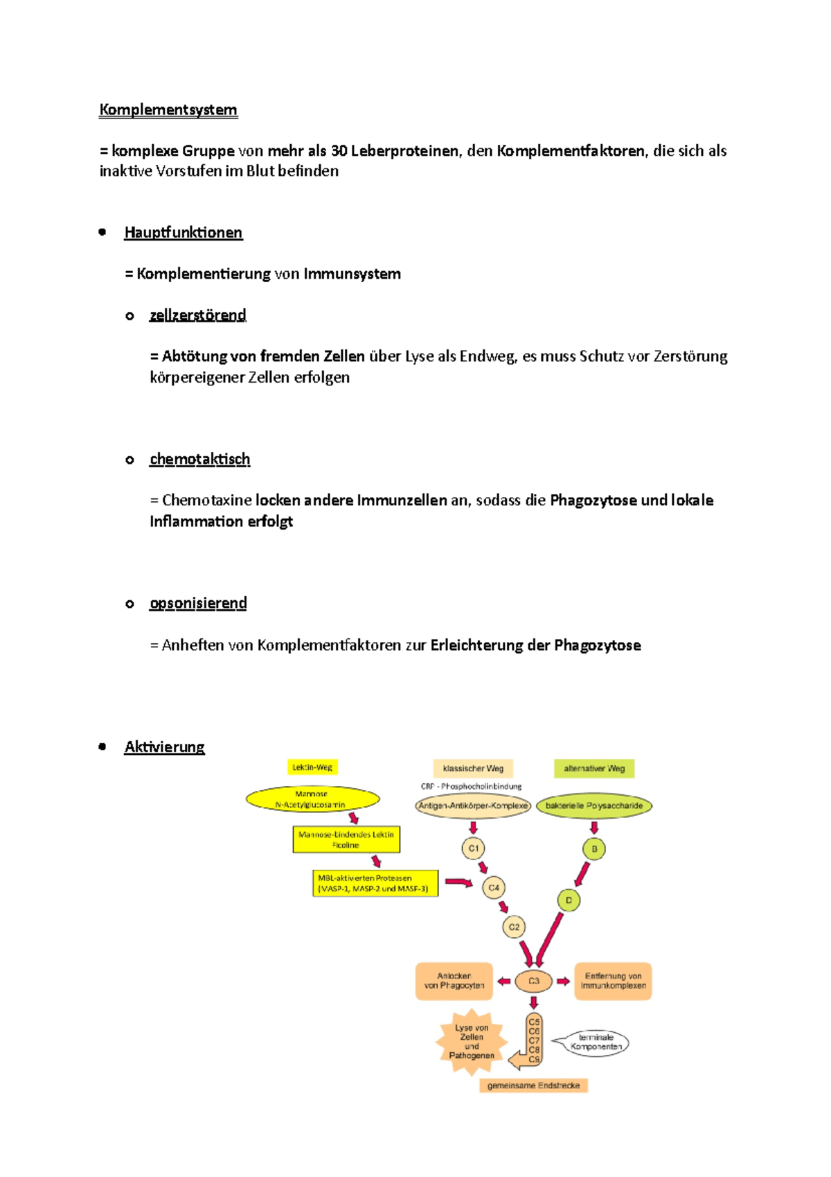 Komplementsystem - Biochemie TB6- angeborenes Immunsystem ...