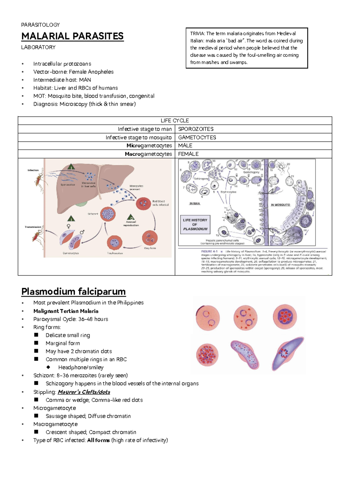 Malarial LAB - PARASITOLOGY MALARIAL PARASITES LABORATORY Intracellular ...