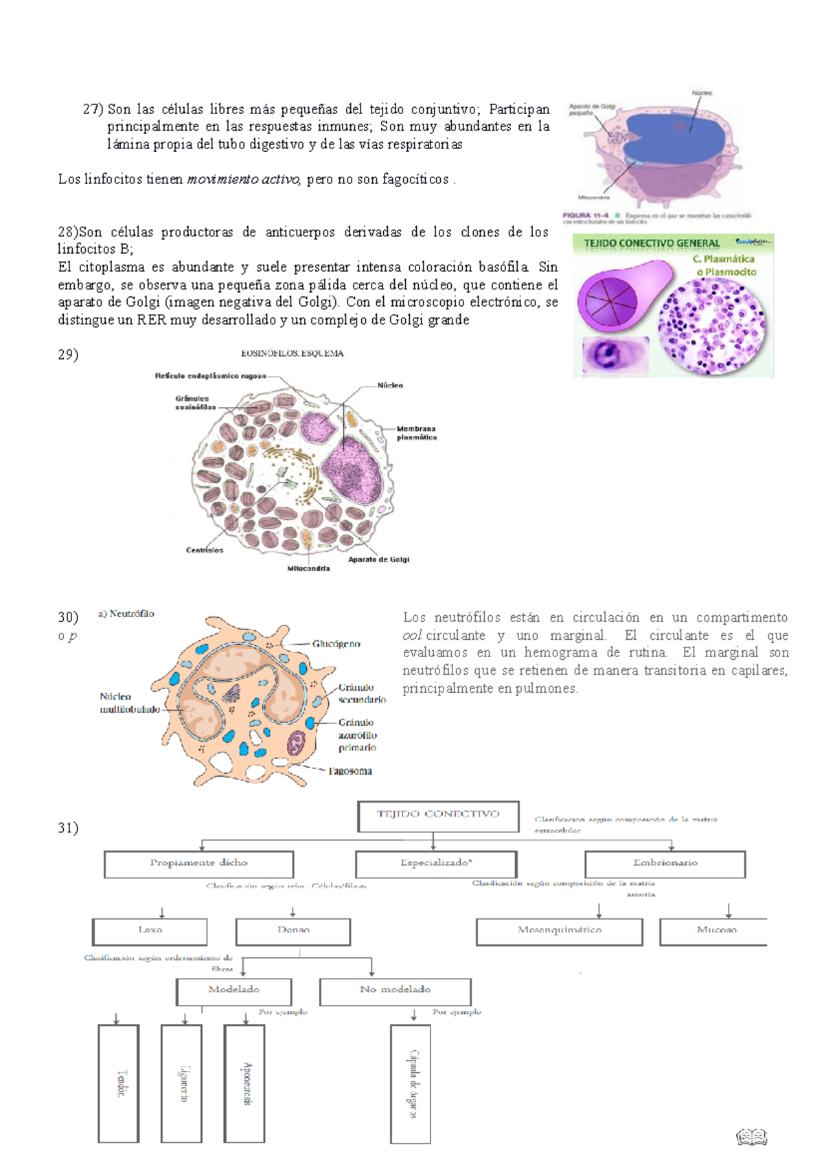 Cuestionario 4 continuacion - Son las células libres más pequeñas del ...
