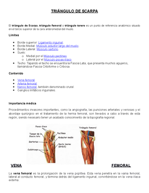 Capitulo 2 - Contenido de la anatomía de la pierna. - Capítulo 2 13 ...