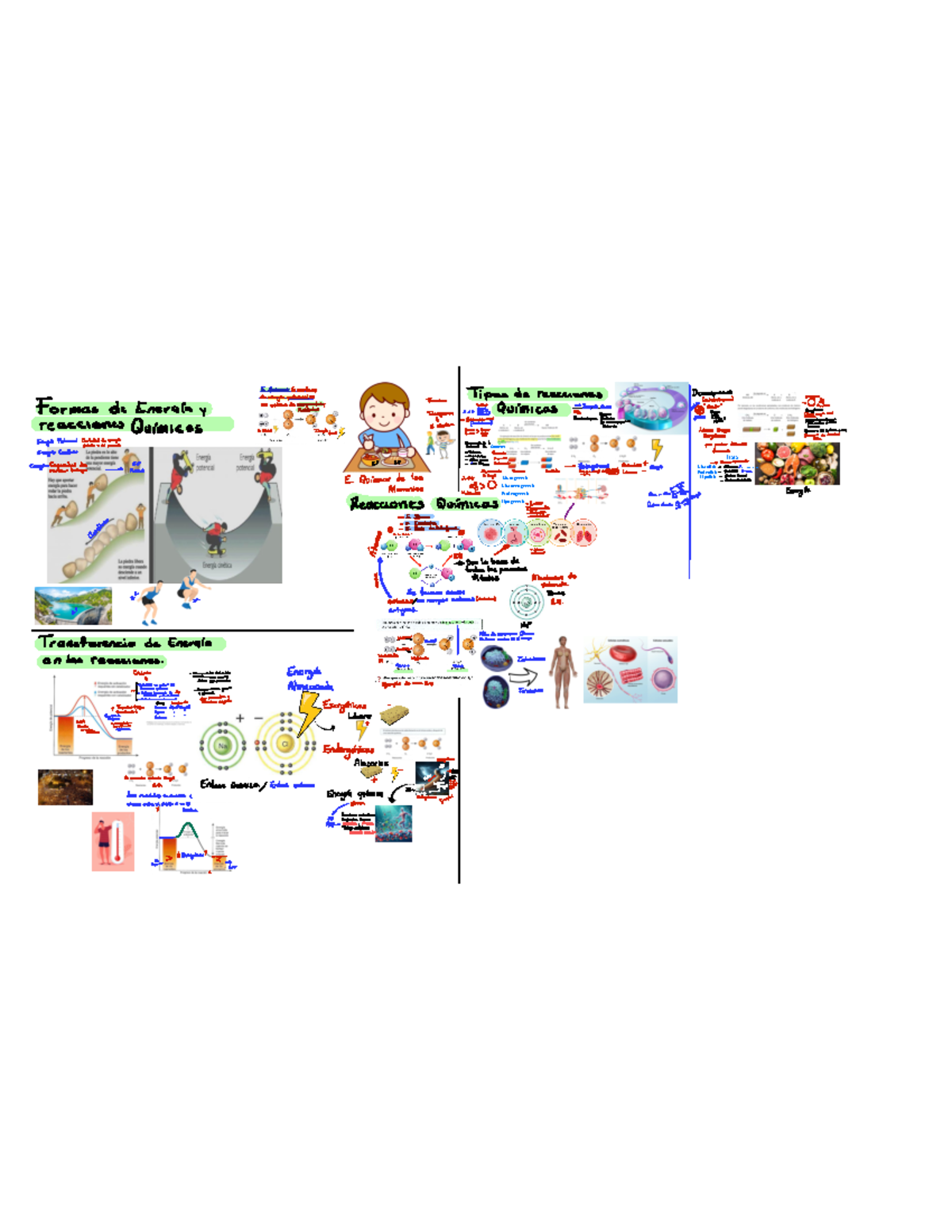 Apuntes de repaso - Reactantes Génesis Proteólisis Glucólisis lisis ...