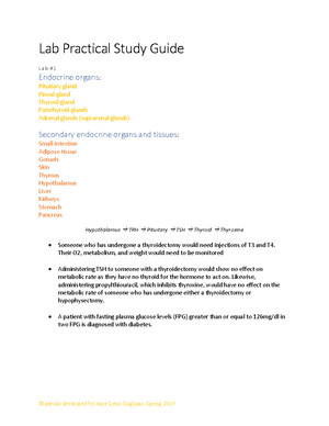 Blood Study Guide PDF - SPRING 2019 ANATOMY AND PHYSIOLOGY II ...