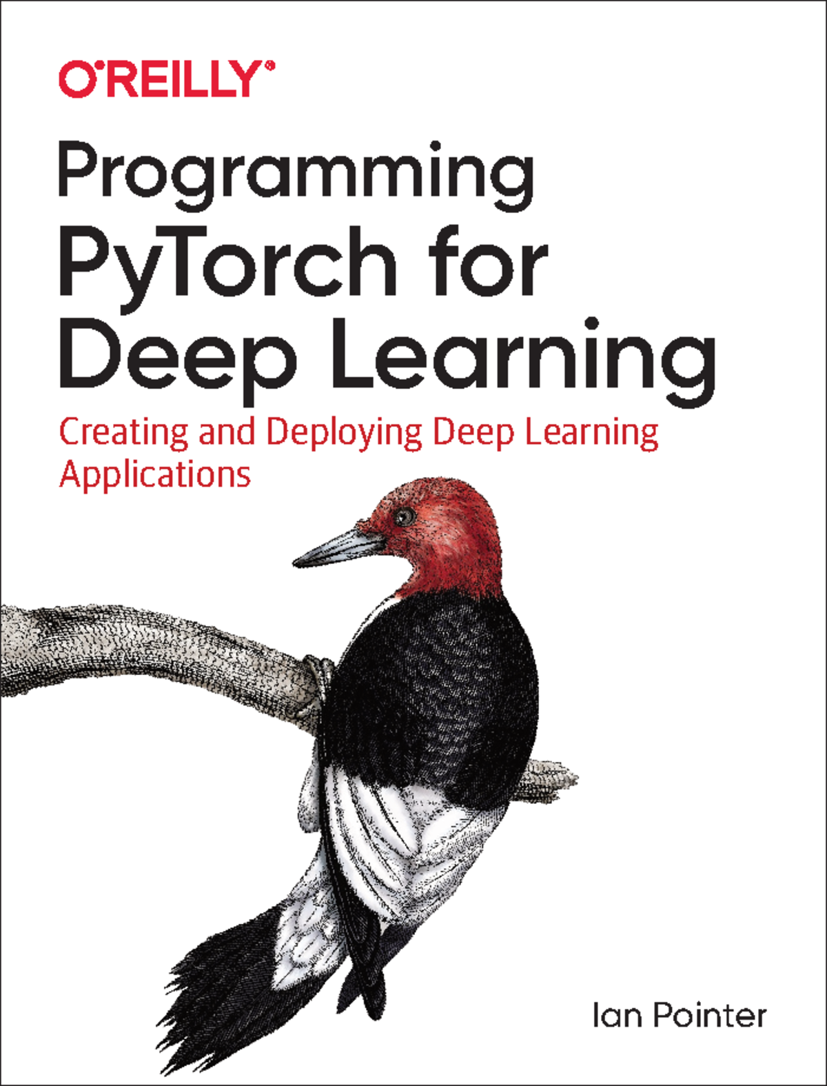 Ian Pointer - Programming Py Torch for Deep Learning Creating and ...