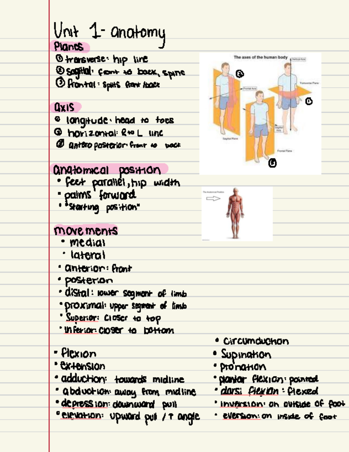 PSK4U Summary Notes - ####### Unit 1-anatomy Planes ① transverse : hip ...