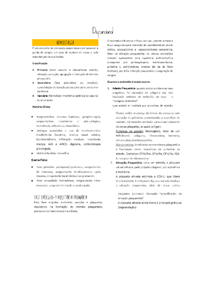 Roteiro para aula prática SP4 - Urinário - Roteiro para aula prática Anatomia do Sistema ...