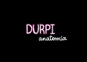 Inbdebooster Head and Neck Anatomy Notes - Head and Neck Anatomy Is one ...