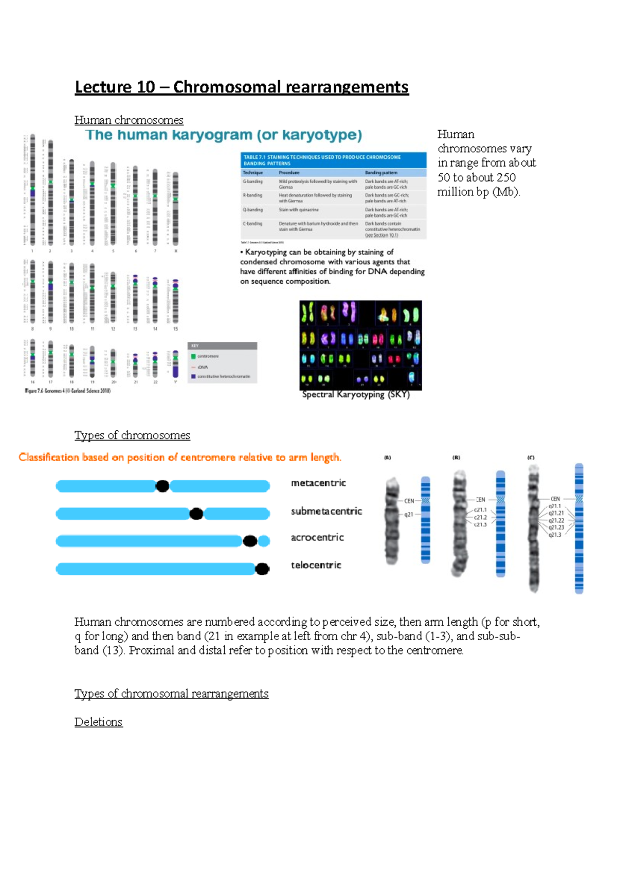 Chromosomal Rearangements - Lecture 10 – Chromosomal rearrangements ...
