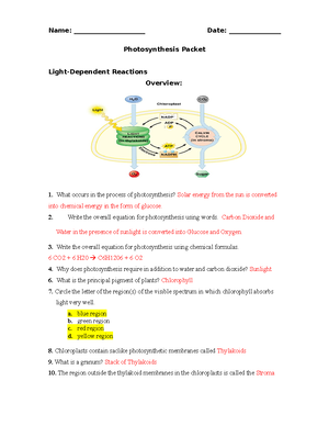 Photosynthesis-worksheet-key - Photosynthesis: Making Energy Chloroplasts Photosynthesis is a ...